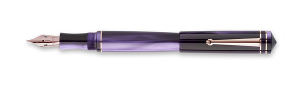 Delta PURPLE Write Balance Fountain Pen – PenAndPad